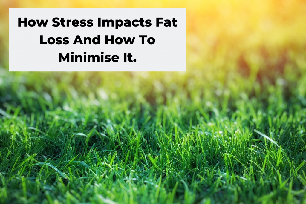 How Stress Impacts Fat Loss And How To Minimise It - Coach Jodie ...